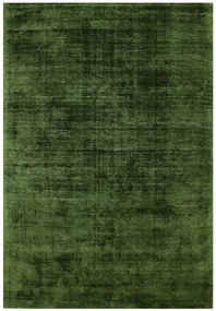 Zelený koberec Ife Green Rozměry: 120x170 cm