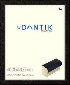 DANTIK rámeček 40x50 | WOODLINE černá (Plexi Čiré)