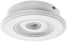 Rabalux LED stropní svítidlo TANELI 12W | 880lm | 3000-6000K - CCT, 6959