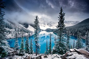 Umělecká fotografie Morning blues, Trevor Cole, (40 x 26.7 cm)