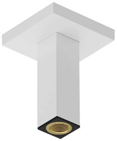 Hansgrohe - Sprchové rameno stropní, 11 cm, matná bílá 24338700