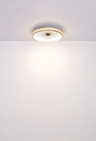 Globo 03650 - LED Stropní svítidlo s ventilátorem GATIAN LED/30W/230V hnědá + DO