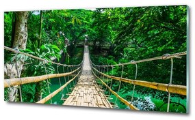 Wallmuralia Foto obraz sklo tvrzené Most tropický les 100x50