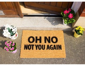 Rohožka z přírodního kokosového vlákna Artsy Doormats Not You Again, 40 x 60 cm