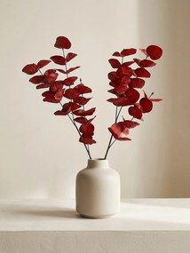 Sinsay - Dekorativní rostlina – eukalyptus - červená