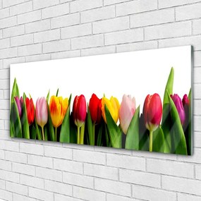 akrylový obraz Tulipány Rostlina 125x50 cm