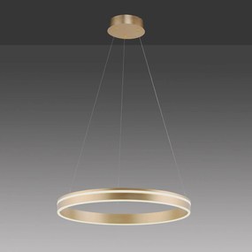 Paul Neuhaus Q-VITO LED závěsné světlo, 1 kruh
