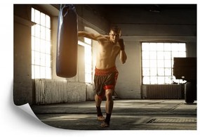 Fototapeta Tréninkový Boxer Samolepící tapety 254x184