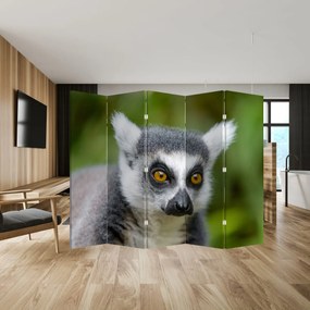 Paraván - Lemur (210x170 cm)