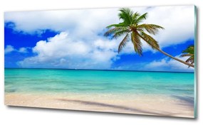 Wallmuralia Foto obraz skleněný horizontální Karigská pláž 100x50