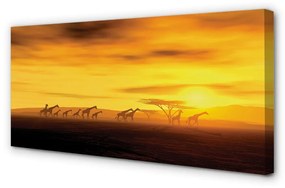 Obrazy na plátně Strom mraky nebe žirafa 120x60 cm