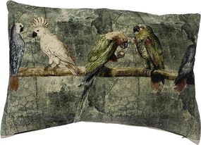 Sametový podlouhlý polštář s papoušky a andulkami - 40*60*15cm