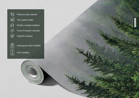 Fototapeta na míru Vrcholky Stromů v Mlze | Vliesová fototapeta na zed' | DFT5P3031