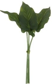 3 okrasné listy Philodendron II - 30cm