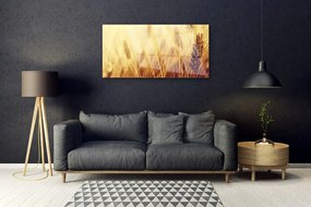 Obraz na skle Pšenice Rostlina Příroda 140x70 cm