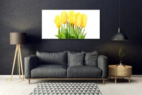 akrylový obraz Tulipány Květiny Rostlina 120x60 cm