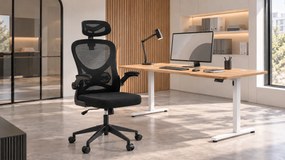 Ergonomická kancelářská židle ALEXANDRE - černá síťovina