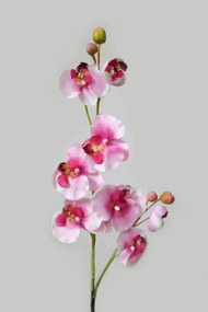 Bělorůžová umělá orchidej 80cm
