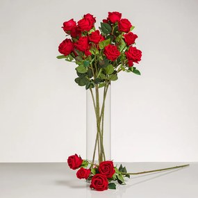Krásná sametová růže KARMEN. Cena je uvedena za 1 kus.