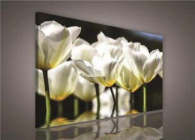 Obraz na plátně bílé květy 100 x 75 cm
