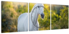 Obraz bílého koně na louce (s hodinami) (90x30 cm)