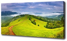 Wallmuralia Foto obraz na plátně Zelené pahorky 100x50