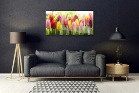 Obraz na skle Tulipány Květiny Příroda 125x50 cm