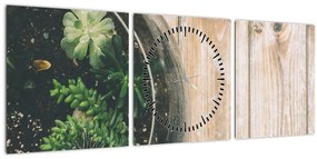 Obraz sukulentů ve skle (s hodinami) (90x30 cm)