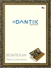 DANTIK rámeček 50x70 | Claico 2 (zlato ořechy) (Plexi Čiré)