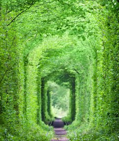Malvis ® Obraz zelený tunel Velikost (šířka x výška): 120x90 cm