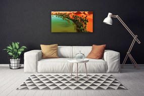 Obraz na plátně Jezero Poušť Palmy 140x70 cm