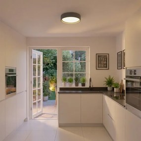 Brilagi - LED Stropní svítidlo LUCIA LED/24W/230V pr. 31 cm šedá