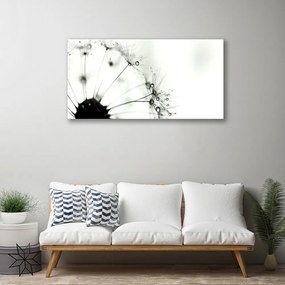 Obraz na plátně Pampeliška Rostlina 120x60 cm