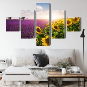 Vícedílný obraz Levandulová A Slunečnicová Pole 3D Nedostatek Nedostatek Plátno Canvas 200x120