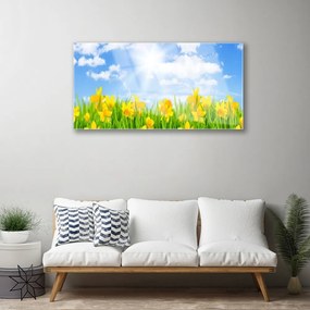 Plexisklo-obraz Narcisy Louka Tráva Příroda 100x50 cm