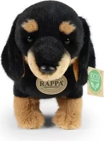 RAPPA Plyšový pes jezevčík 23 cm / SOFT COLLECTION  / od 0 let