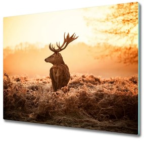 Skleněná krájecí deska Jelení jelena 60x52 cm