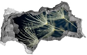 Wallmuralia Samolepící díra nálepka Semena pampelišky 95x73 cm