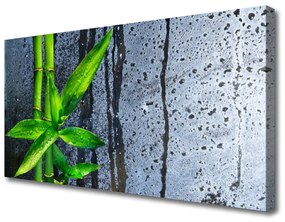 Obraz na plátně Bambus List Rostlina Příroda 140x70 cm