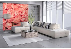 DIMEX | Vliesová fototapeta na zeď Růže MS-3-0133 | 225 x 250 cm | růžová