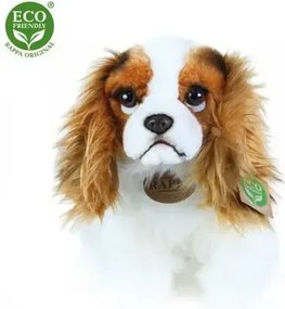 RAPPA Plyšový pes king charles španěl 25 cm / ECO-FRIENDLY / od 0 měsí