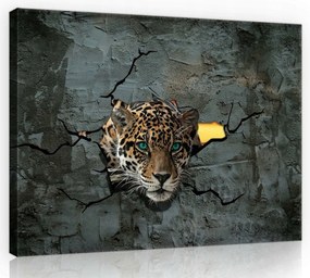 Obraz Na Plátně Canvas 100x75 Jaguar Kočka Stěna