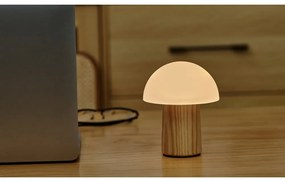 Stmívatelná stolní lampa v přírodní barvě se skleněným stínidlem (výška 13 cm) Alice – Gingko