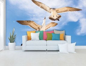 Malvis ® Tapeta Racci a krmení Vel. (šířka x výška): 360 x 260 cm