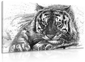 Obraz predátor zvířat v černobílém provedení - 120x80 cm