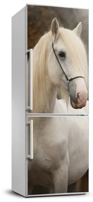 Wallmuralia Nálepka fototapeta lednička Bílý kůň XL 60x180 cm