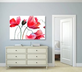 Obraz jedinečné květy máku Varianta: 60x40