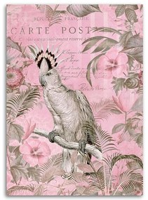 Gario Obraz na plátně Růžový pták kakadu - Andrea Haase Rozměry: 40 x 60 cm