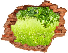 Wallmuralia Nálepka fototapeta 3D výhled Zelená louka 90x70 cm