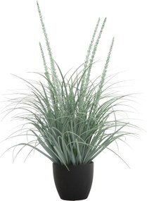 XXXLutz DEKORAČNÍ TRÁVA 70 cm Ambia Home - Dekorační tráva - 0039530097